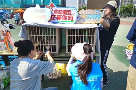 文化随行 泰达跳蚤市场周六再开“市”，摊主速来报名！