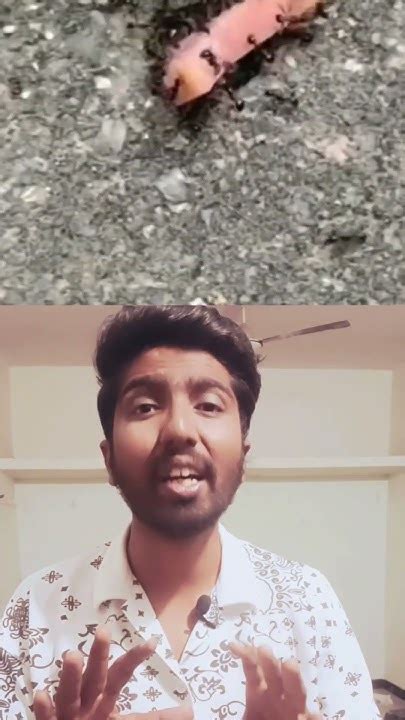 எறும்புகளின் இந்த தனித்திறமை பற்றி தெரியுமா உங்களுக்கு Facts Viralvideo Tamil Unknownfacts