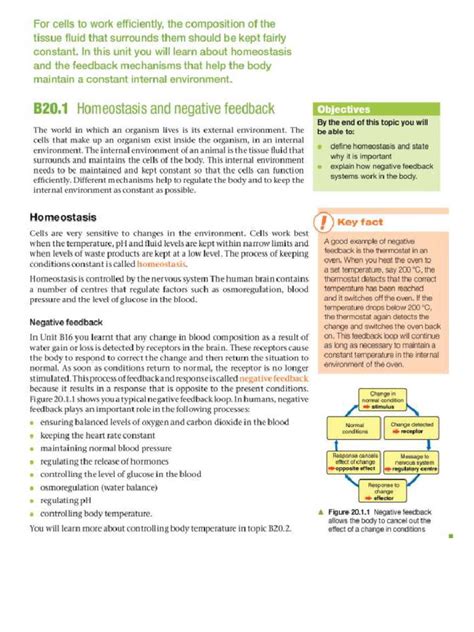 Homeostasis And Control Review Pdf