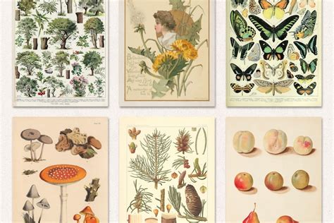 그림·사진 보태니컬 플랜테리어 식물도감 꽃 가든 나비 버섯 빈티지 포스터 캔버스 액자 50종 오늘의집 쇼핑