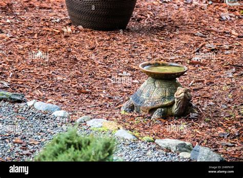 Decorative Turtle With A Bowl On Its Shell Is Placed In The Garden