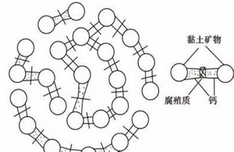 土壤养护小知识 土壤改良 新农资360网 土壤改良 果树种植 蔬菜种植 种植示范田 品牌展播 农资微专栏