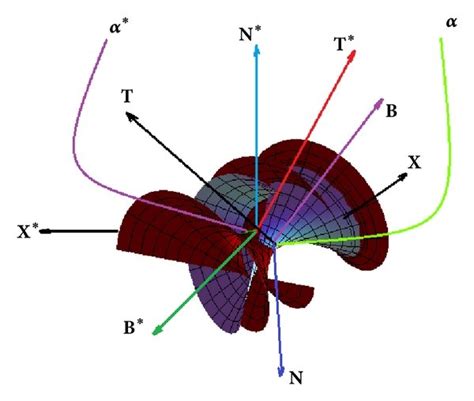 The Evolution Pair X X∗ B⫽b∗ T 0 3 ψ 1 S∈ π π V∈ 6 6 Download