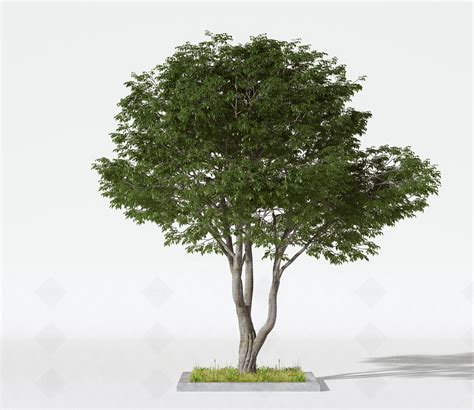 树木3d模型下载【id 1120558195】 知末3d模型网