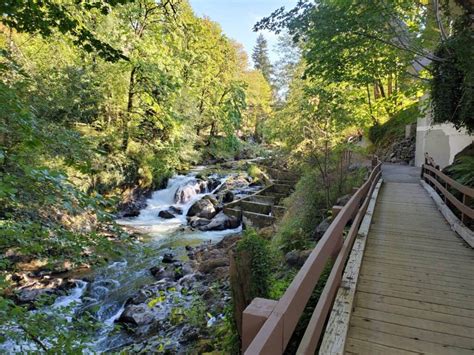 Brewery Park At Tumwater Falls Trail