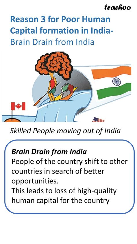 Sources Of Human Capital In India Economics Class 12 Teachoo