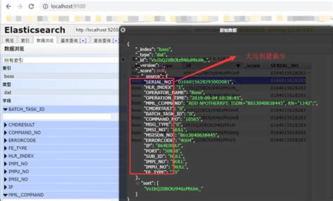 Elasticsearch索引大小写的问题 Csdn博客
