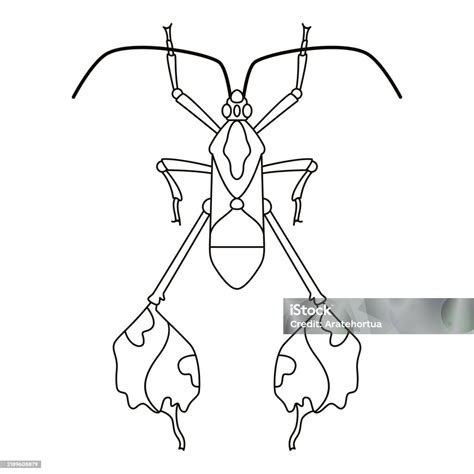 Vector Stick Bug Insect Cartoon Illustration Isolated Stock