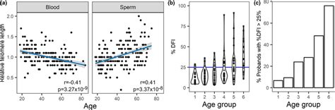 A Relative Telomere Length Was Determined In Peripheral Blood