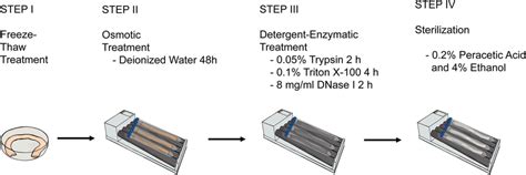 Graphic Display Of Decellularization Process Decellularization Download Scientific Diagram