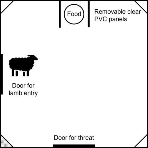 Schematic Diagram Of The Test Arena Used During The Pilot Trial The