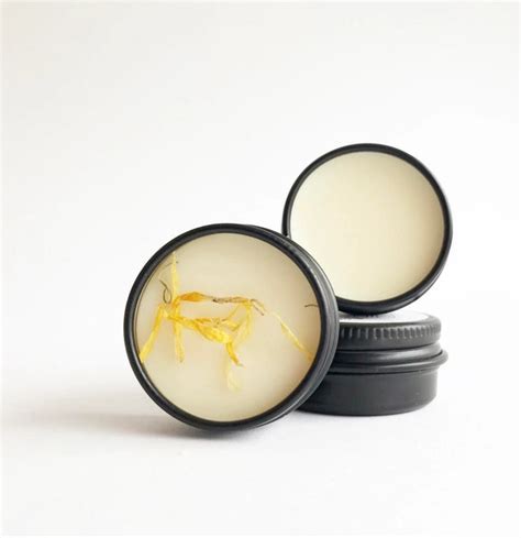 Minty Fresh Vegan Lip Balm Sustainable And Organic — Stoneandbeige