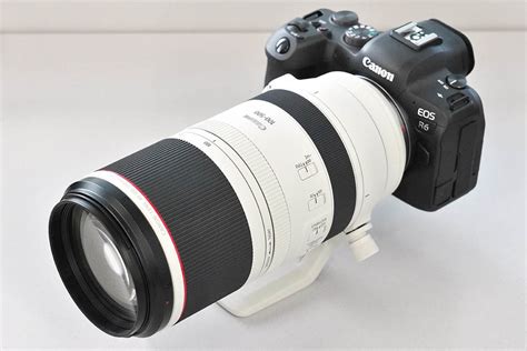キヤノン、「eos R6」やrf100 500mmの発売日を8月27日に決定 マイナビニュース