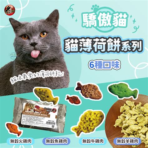 Yuan Cat Glory