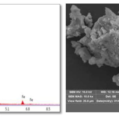 Sem Eds Analysis For Cement Download Scientific Diagram