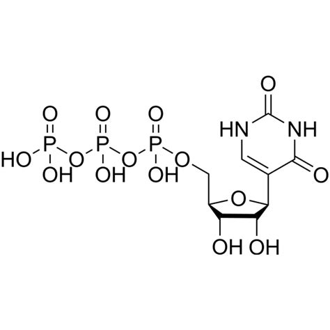 Pseudouridine 5 Triphosphate Pseudo Utp Modified Nucleoside Medchemexpress