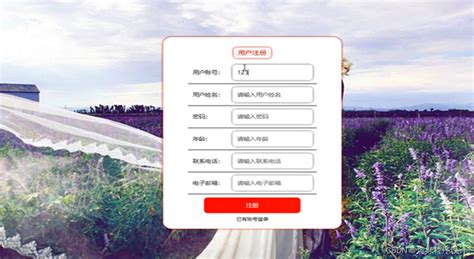 Javaphpnodejspython婚纱摄影网站【2024年毕设】 Csdn博客