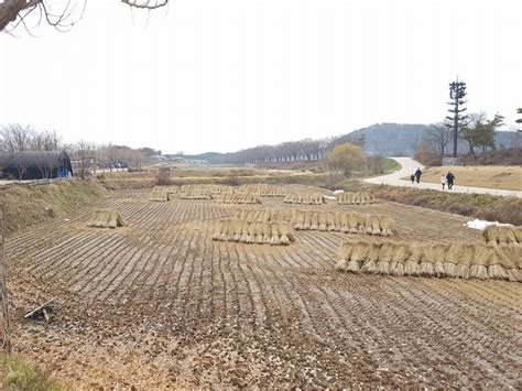 Зургийн цомог