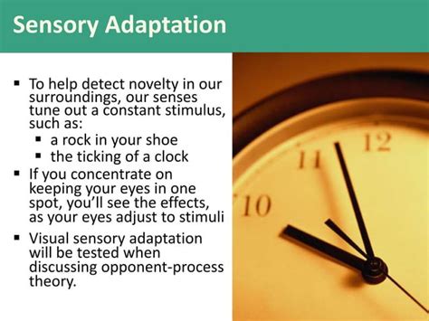 Psy 150 403 Chapter 6 Slides