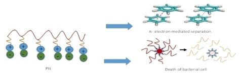 Single‐step Synthesis Of Novel Polyionic Liquids Having Antibacterial