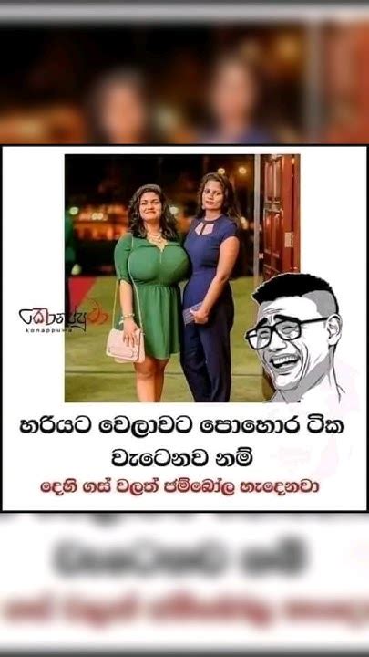 පොහොර තිබුනනම් ⁣ෙඔා්න දෙයක් සරැවට හදාගන්න පුලුවන් 😉😌💖🤣🤣🤣 Trending