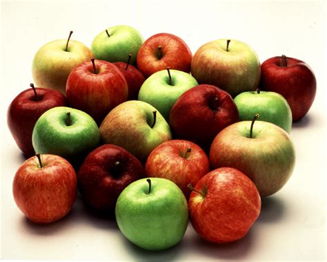 Easy Method For Preserving Fresh Apples In The Freezer Hubpages
