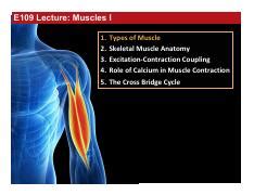 Understanding Muscle Types and Contraction Mechanisms | Course Hero