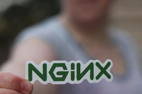 C Mo Ejecutar Un Programa Desde La Terminal De Linux Mecna
