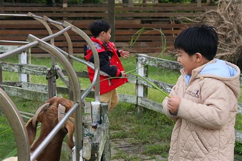 【桃園觀音】吳厝楊家莊農場（正隆農場）、甘泉寺石觀音（甘泉井）～ 佑佑皮皮 In Udn 網誌 Udn部落格