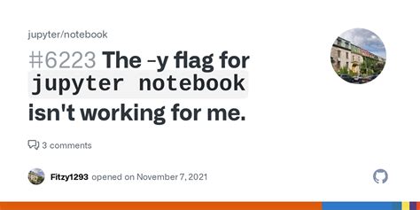The Y Flag For `jupyter Notebook` Isnt Working For Me · Issue 6223