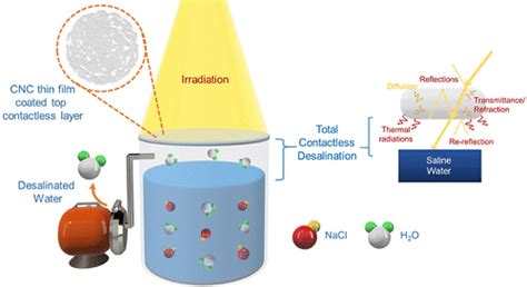 Nanocellulose In Thin Films Coatings And Plies For