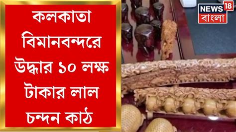 Kolkata মূর্তির আড়ালে চন্দন কাঠ পাচার Kolkata বিমানবন্দরে উদ্ধার ১০