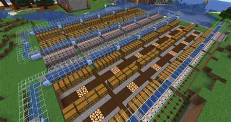 Minecraft Chest Sorting System Pregnancy Informations