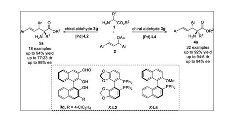 Asymmetric α Allylation Of N Unprotected Amino Acid Esters With 13