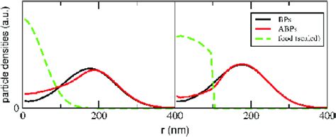 Transient Density Distributions Time Evolution Of The Density