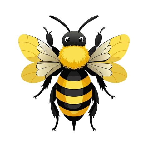 Premium Vector Isolated Bumble Bee On White Background