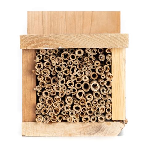 Native Bee Nesting Box Hollowtreehoney