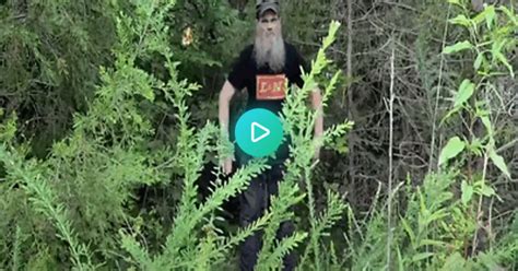 Hobo Shoestring Album On Imgur