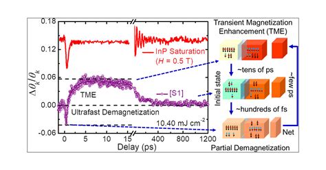 Femtosecond Laser Induced Transient Magnetization Enhancement And Ultrafast Demagnetization