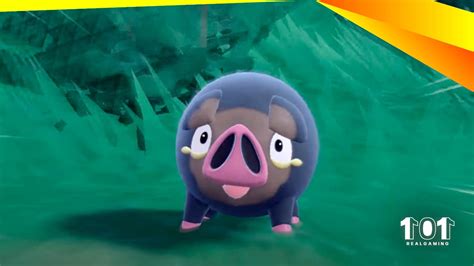 Pok Mon Escarlata Y P Rpura C Mo Conseguir A Lechonk Realgaming Es