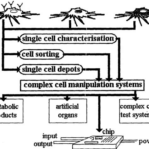 Single Cell Technology Download Scientific Diagram