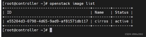 Openstack云计算平台 镜像服务openstack 镜像是什么 Csdn博客