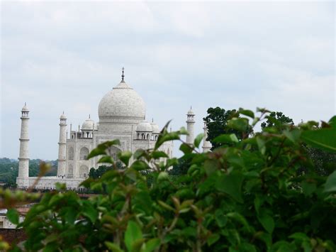 Taj Mahal River Bank Free Photo On Pixabay Pixabay