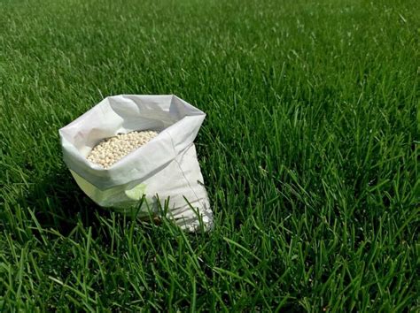 The Best Lawn Grass Fertilizers Guide Nourishing With Organic Slow