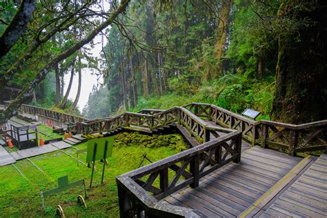 【旅遊】【郵輪式列車】賞櫻季阿里山櫻花季 大甲鎮瀾宮祈福 嘉義檜意生活村三人 Advantech Able Club