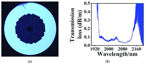 A Scanning Image Of The Cross Section Of HCF B Measured