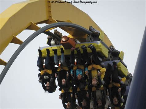 Brachphotography Kings Dominion Domninator