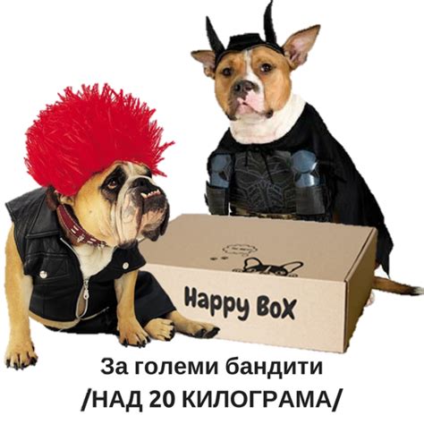 Happy Box