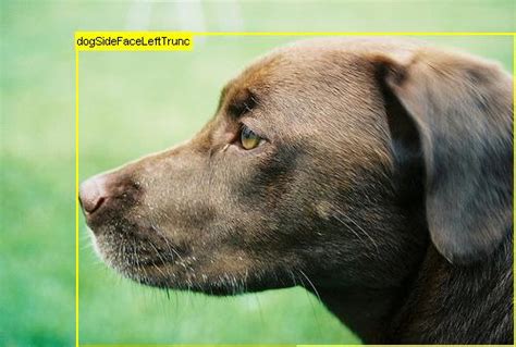 The Pascal Visual Object Classes Challenge 2008 Voc2008