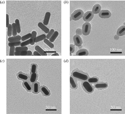TEM Images Of A GNR B GNR MSiO2 C GNR MSiO2 DOX PDA And D